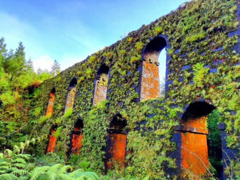 Half-Day 4X4 Tour Sete Cidades. Off the beaten Track. - FAQs