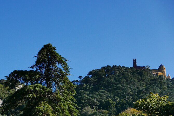 Half day adventures in the Sintra mountain - Authentic Insights from Reviewers