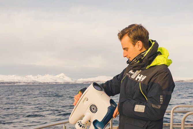 Half Day Arctic Fjord Cruise from Tromso - Key Points