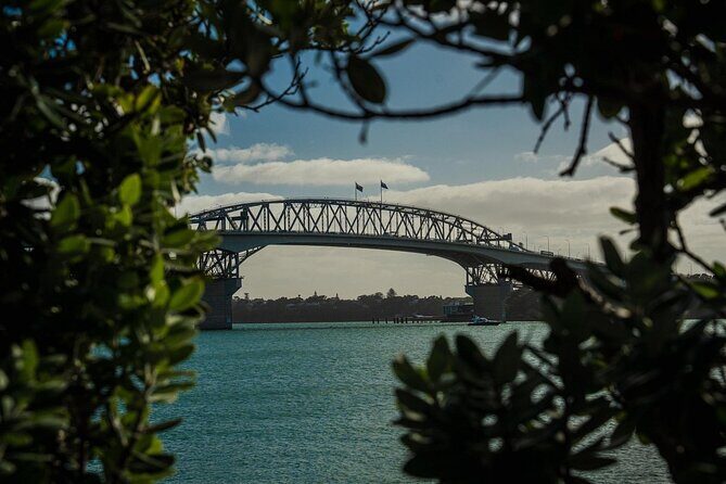 Half Day Auckland City Sightseeing Tour with Expert Guide - FAQs