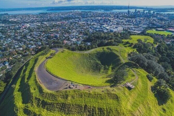 Half-Day Auckland City Tour  The City of Sails Uncovered - Authentic Insights and Traveler Perspective