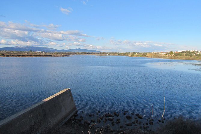 Half-day birdwatching at the Abicada marshed - FAQs