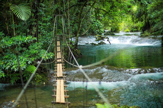 Half Day Blue Lagoon and Cascades Tours - The Experience from the Guides Perspective