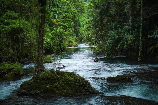 Half Day Blue Lagoon and Cascades Tours - Who Will Love This Tour?