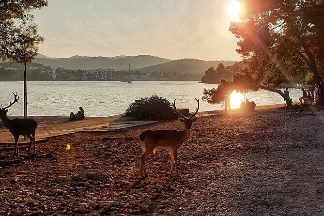 Half-Day Boat Tour Korcula Archipelago - Key Points  