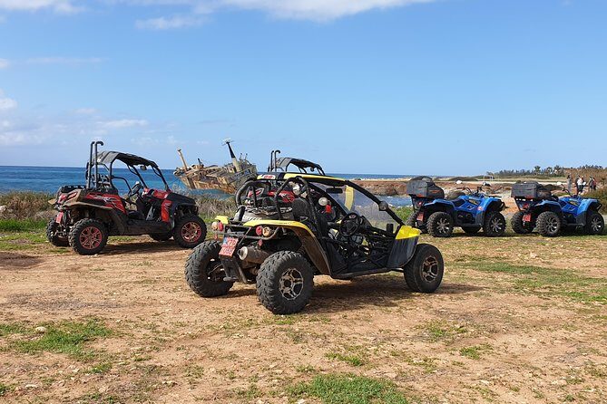 Half-Day Buggy Safari to Akamas Peninsula with Lunch - The Experience in Detail