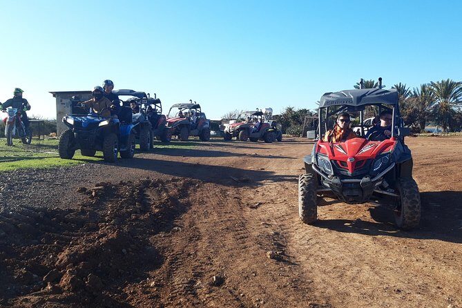 Half-Day Buggy Safari to Akamas Peninsula with Lunch - Who Is This Tour Best For?