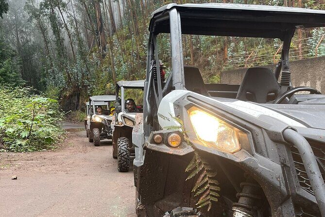 Half-Day Buggy Tour from Câmara de Lobos - Who Will Love This Tour?