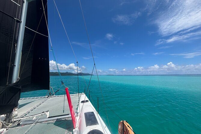 Half day catamaran sailing in the Sailinity Lagoon - What Makes This Tour Special?