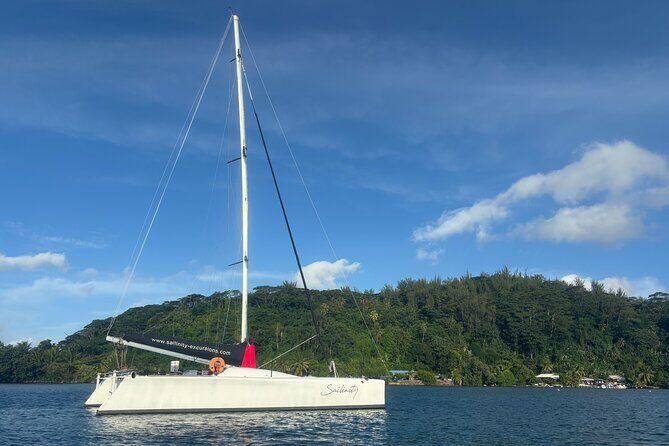 Half day catamaran sailing in the Sailinity Lagoon - Why Travelers Love This Experience
