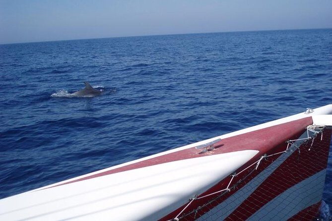 Half-Day Catamaran Trip in Menorca - Practical Tips for Booking and Enjoying