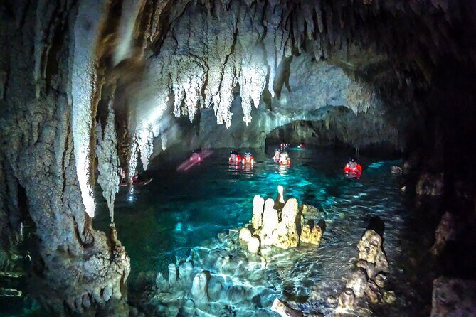 Half Day Cenote Cave and Swimming with Turtles Tour in Akumal - Price & Value