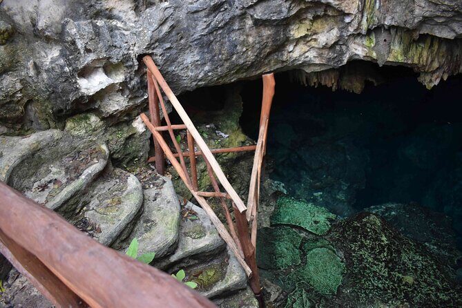 Half Day Cenotes Tour - What to Expect from the Half Day Cenotes Tour