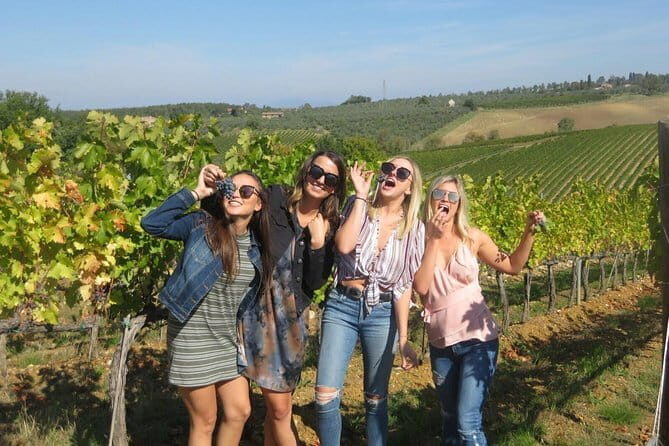 Half-day Chianti Classico Wine tour from Florence - Small Group - An In-Depth Look at the Experience