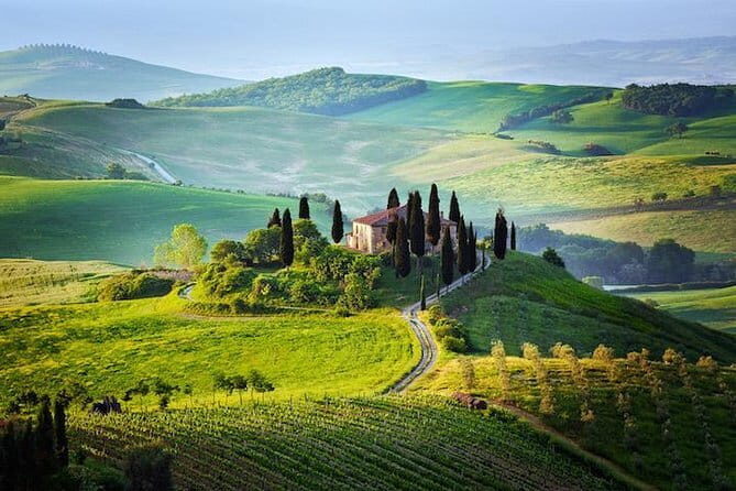 Half Day Chianti Wine Tour with Private Luxury Van - What to Expect from the Experience