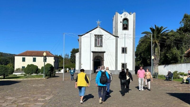 Half-Day Country Market Tour on Madeira Island - Key Points