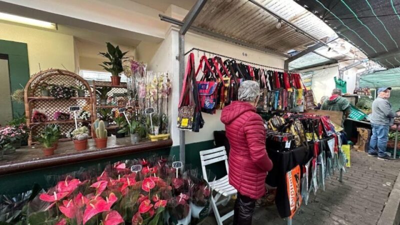 Half-Day Country Market Tour on Madeira Island - Price and Value: Is It Worth It?