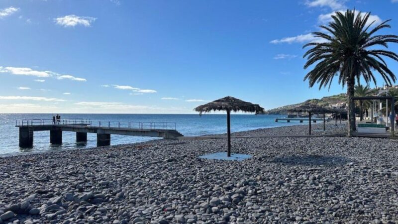 Half-Day Country Market Tour on Madeira Island - Who Is This Tour Best For?