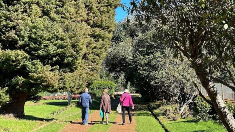 Half-Day Country Market Tour on Madeira Island - The Sum Up