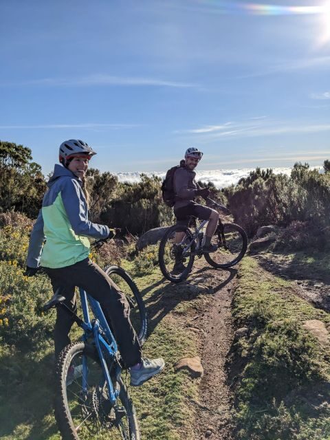 Half-Day Cross-Country Mountain Biking in Madeira - Key Points