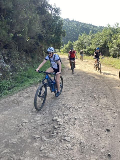 Half-Day Cross-Country Mountain Biking in Madeira - Who Might Want to Consider Alternatives?