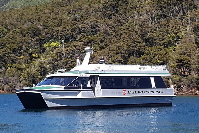 Half-Day Cruise in Marlborough Sounds from Picton - Introduction