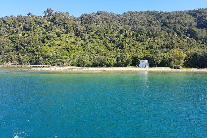 Half-Day Cruise in Marlborough Sounds from Picton - The Sum Up