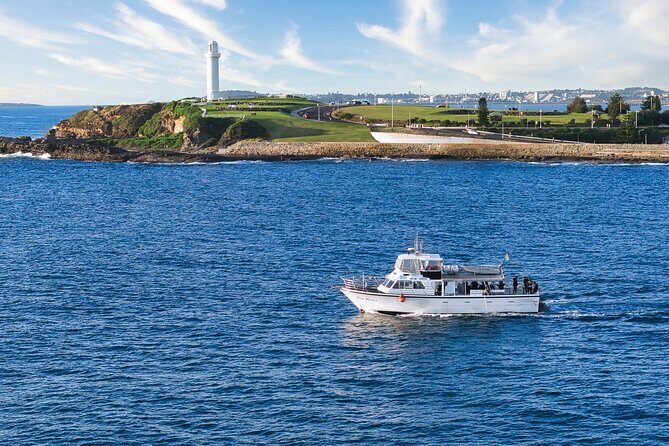 Half-Day Deep Sea Fishing in Wollongong - Weekdays only - Is This Tour Worth It?