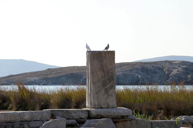 Half-Day Delos Tour from Mykonos - FAQ