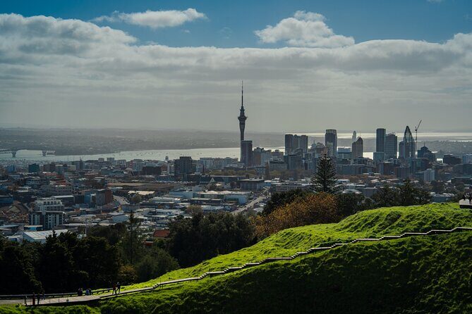 Half-day Discover Auckland City Sightseeing Tour - An Overview of the Tour Experience