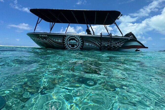 Half day Eco Snorkeling small group Tour in Bora Bora - Key Points