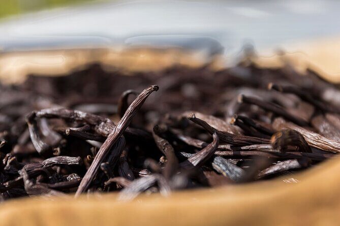 Half day excursion Tahaa - departure Raiatea / ideal cruise line - Exploring Tahaa in a Half Day: What to Expect