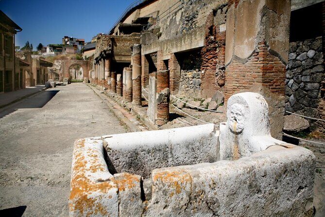 Half Day Excursion to Herculaneum from Naples with Lunch - Key Points