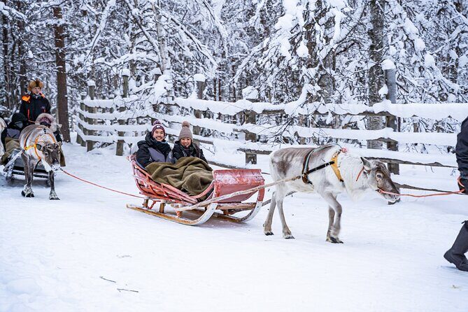 Half-Day Experience in Local reindeer farm in Lapland - Detailed Review
