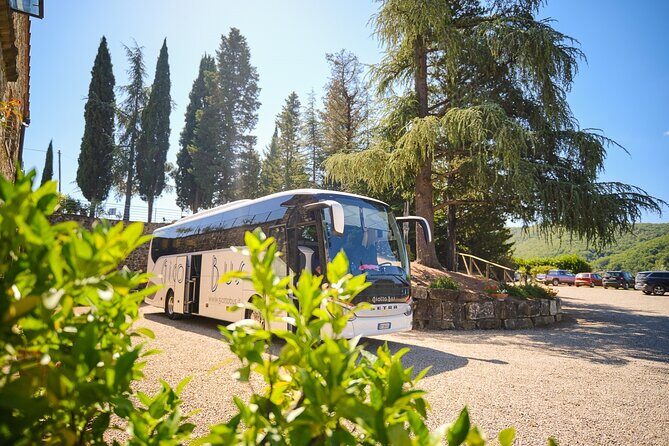 Half-day Experience to San Gimignano Hills with Picnic and Wine - What Our Reviewers Say