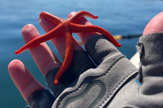 Half Day Family Paddle and Hike - Authentic Insights from Travelers