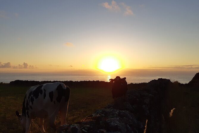 Half-Day Farm Visit and Cow Milking Experience - FAQ
