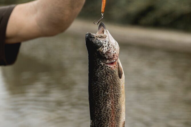 Half Day Fishing Adventure - The Experience in Detail