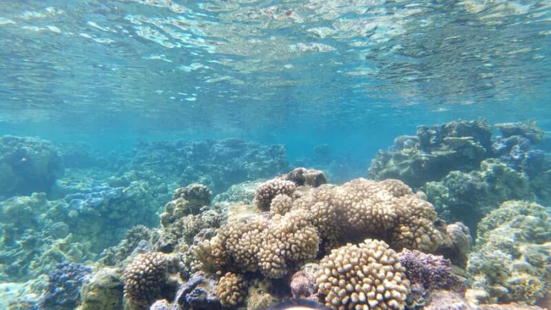 Half day for Snorkeling, Legends, History with O-sea Bora - Final Thoughts: Is It Worth It?  