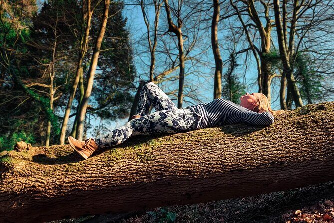 Half-day Forest Bathing and Yoga in Brighton's Woodlands - Starting at One Garden Brighton