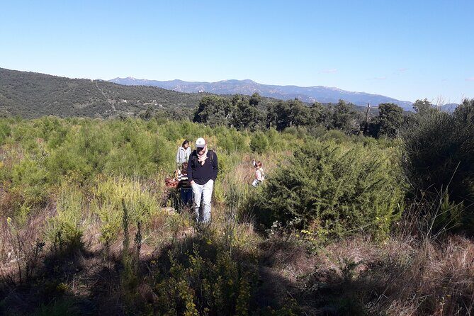 Half Day Gastronomic Wild Walk in Girona - The Itinerary: What to Expect During Your Wild Walk