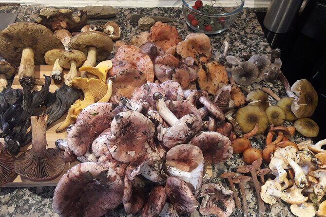 Half Day Gastronomic Wild Walk in Girona - Who Would Love This Tour?