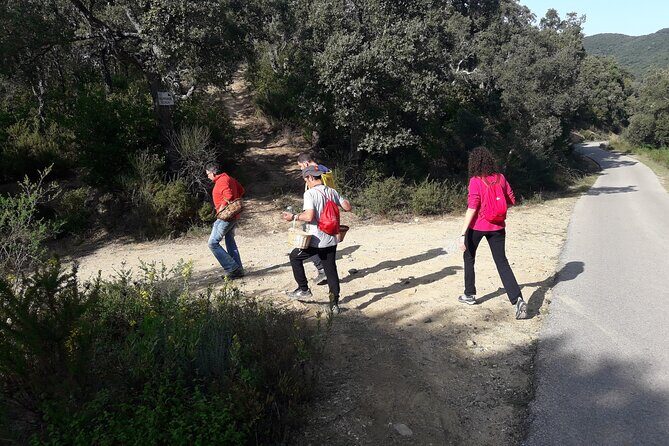 Half Day Gastronomic Wild Walk in Girona - The Sum Up