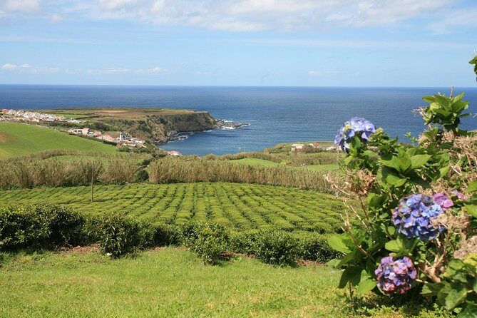 Half day Gorreana - Pedestrian Walk and Tea Tasting (Min. 2 persons) - FAQs