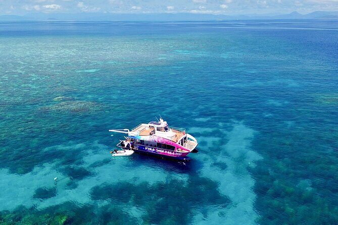 Half Day Great Barrier Reef Snorkeling Tour - The Experience: What You Can Expect