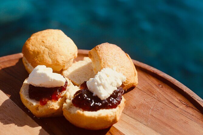 Half Day Great Barrier Reef Snorkeling Tour - Who Is This Tour Best For?