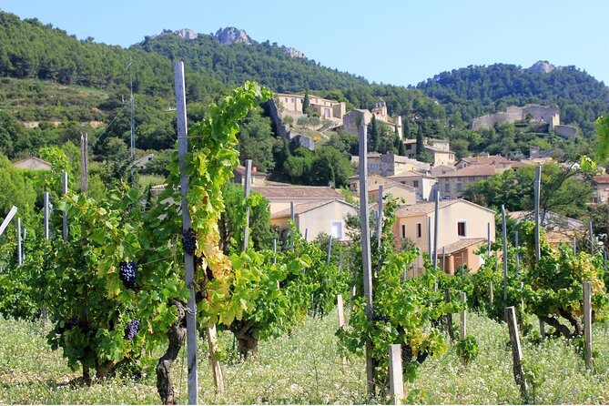 Half Day Great Vineyard Tour from Avignon - Exploring the Itinerary in Depth