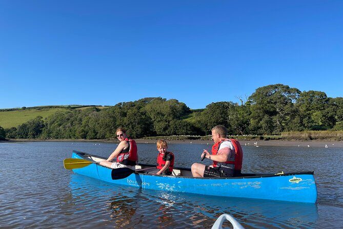 Half Day Guided Canoe Trip in Totnes - The Experience: What You Can Expect from the Canoe Trip