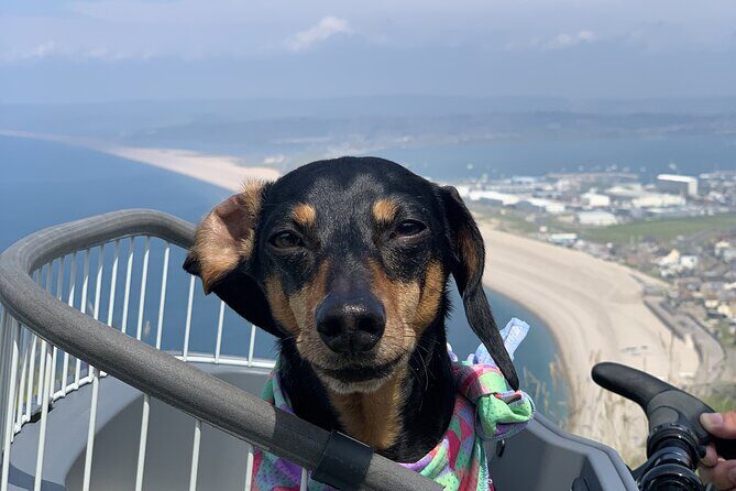 Half-Day Guided E-Bike Tour Portland with Brunch - The Itinerary Breakdown: What You Can Expect