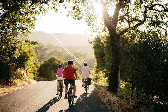 Half Day Guided Electric Bike Wine Tasting Tour with Lunch - Why You Might Like This Tour